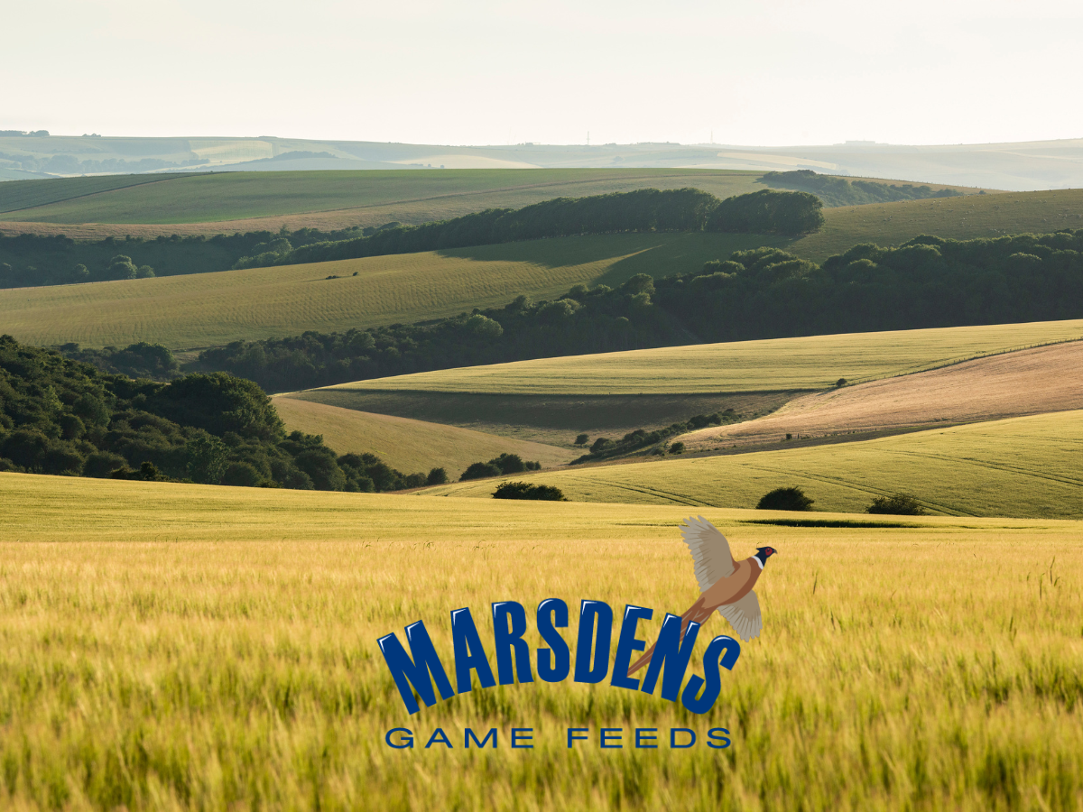 The Environmental Role of Shooting: The Good, the Bad, and the Future ...